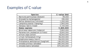 C value paradox, DBA renaturation kinetics.pptx
