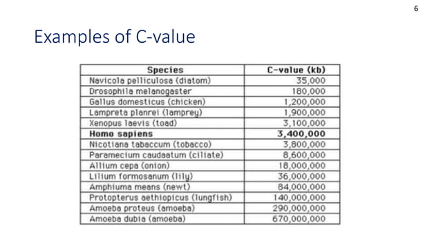 C value paradox, DBA renaturation kinetics.pptx | Biological Sciences ...