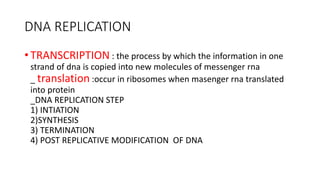molecular biology DNA and RNA presentation | PPTX