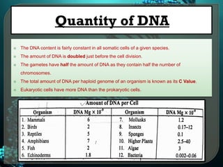 Basics of DNA | PDF