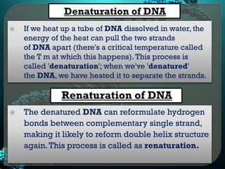 Basics of DNA | PDF