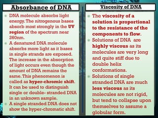 Basics of DNA | PDF