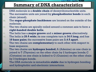 Basics of DNA | PDF