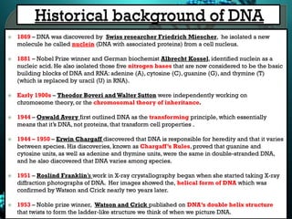 Basics of DNA | PPT