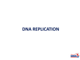 DNA Replication by Dr. Anurag Yadav | PDF