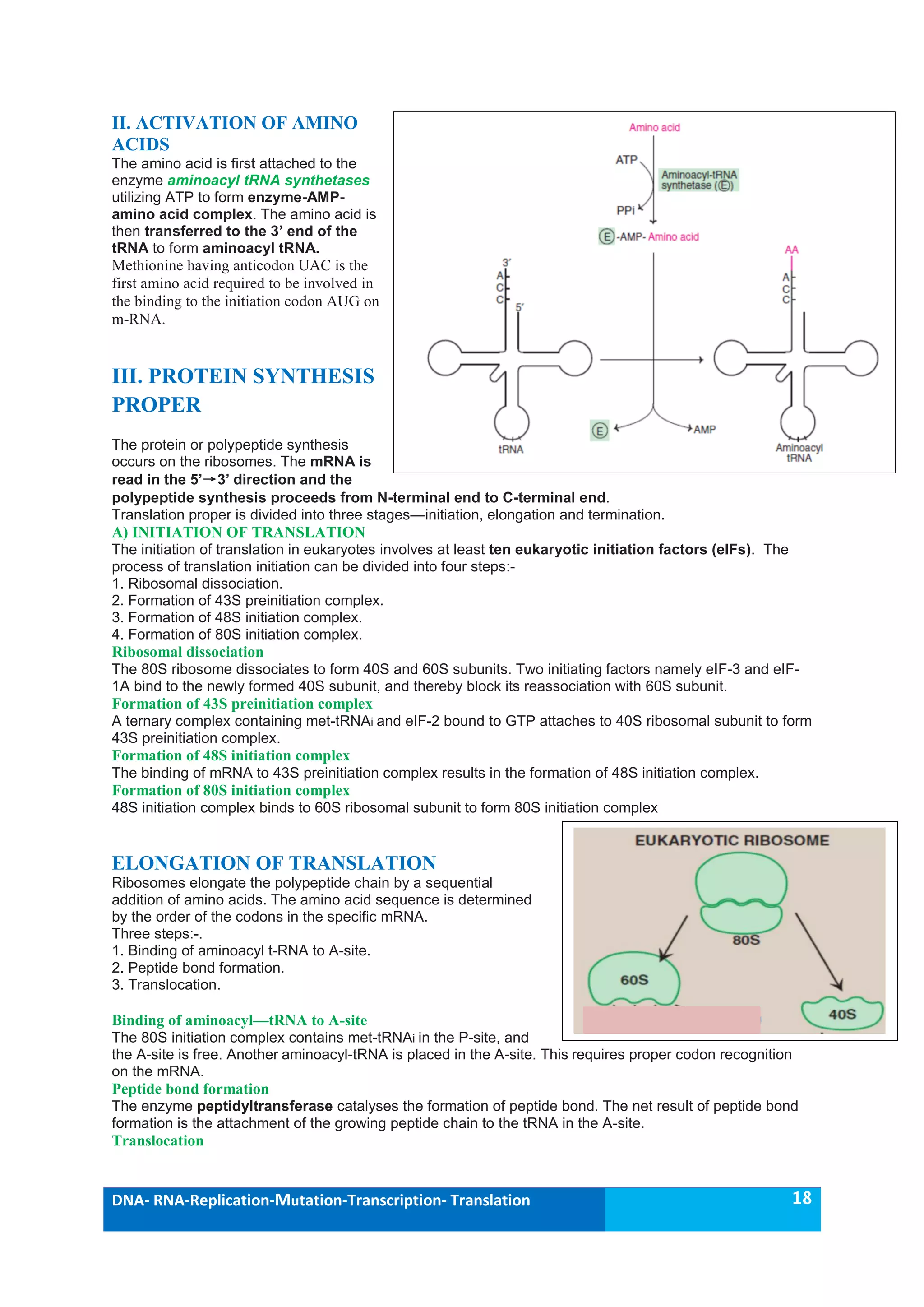 Molecular biology dna, rna, rep, trancr, transl (autosaved) | PDF