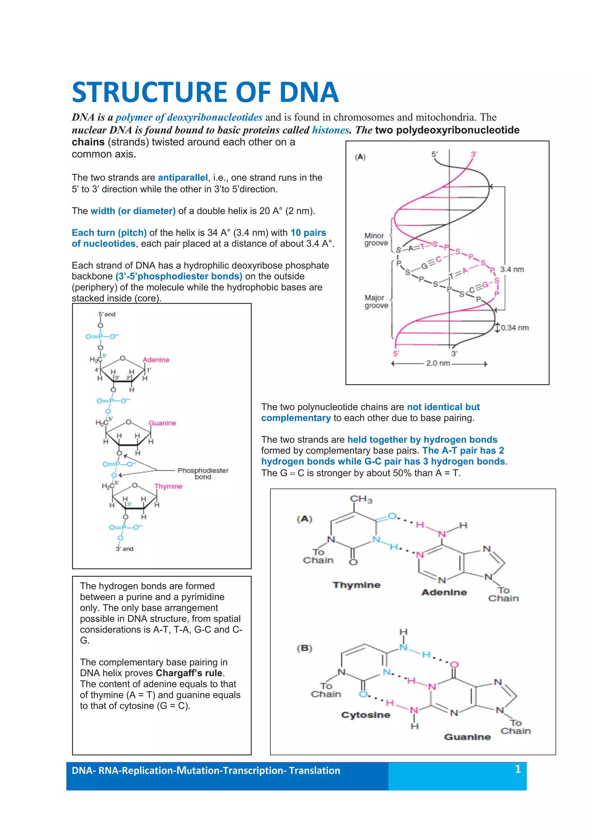 Molecular biology dna, rna, rep, trancr, transl (autosaved) | PDF