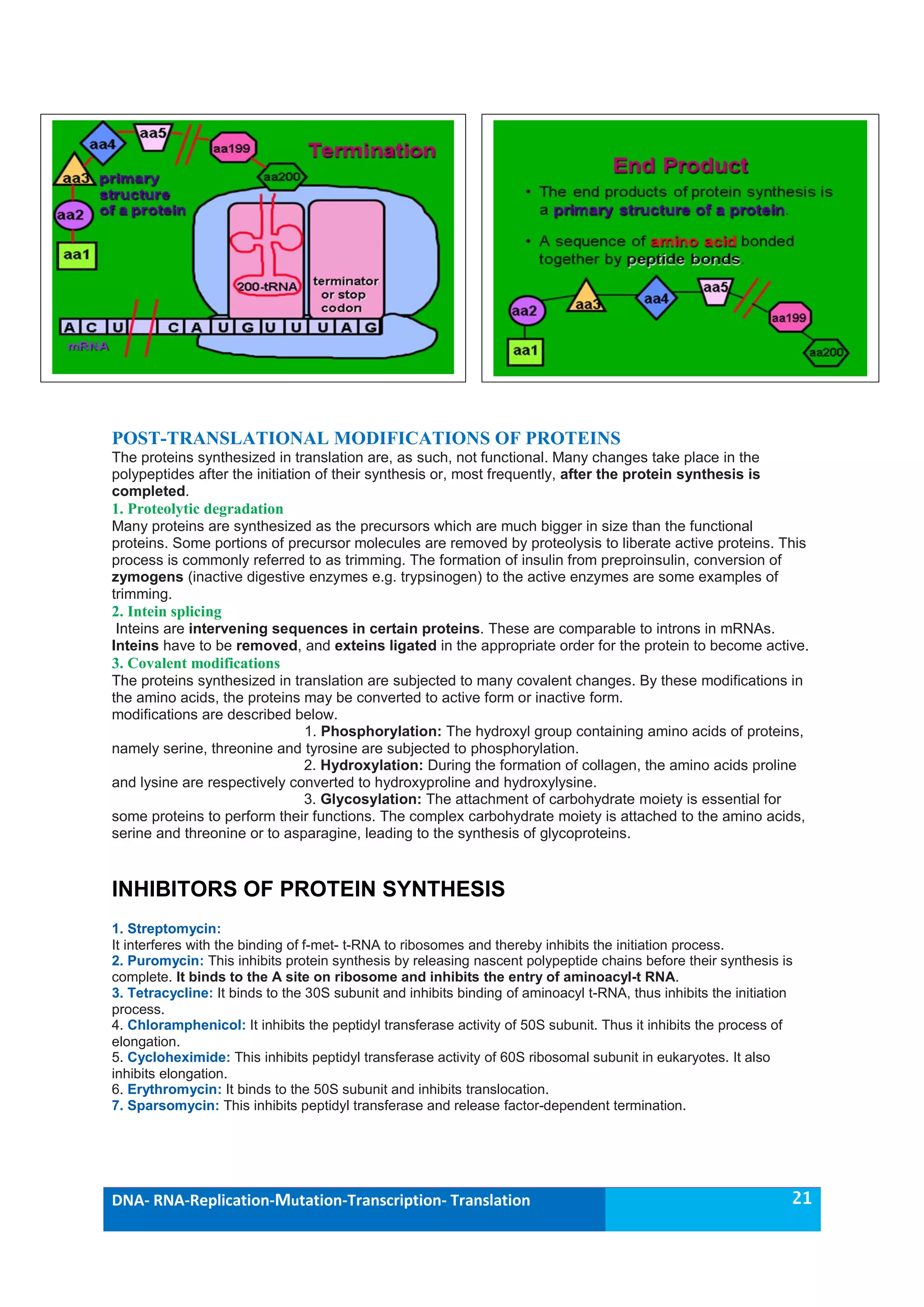 Molecular biology dna, rna, rep, trancr, transl (autosaved) | PDF