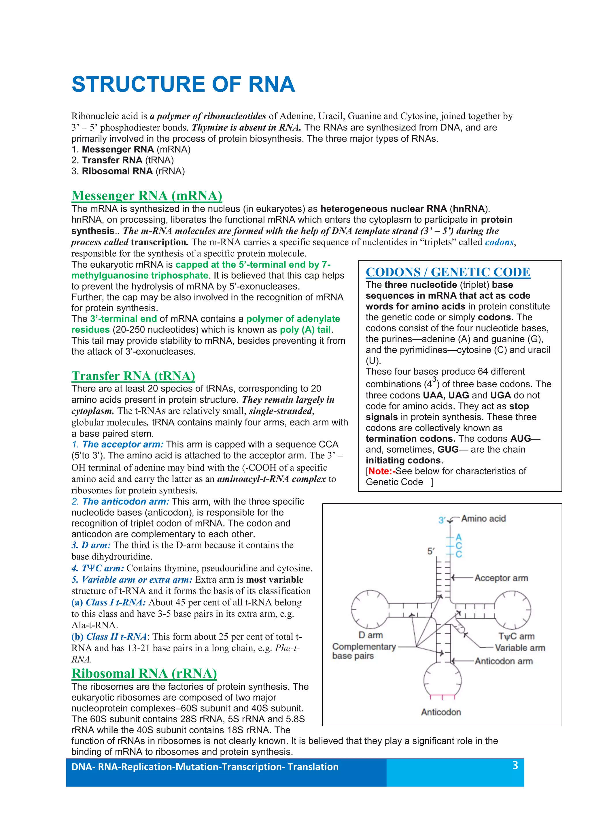 Molecular biology dna, rna, rep, trancr, transl (autosaved) | PDF