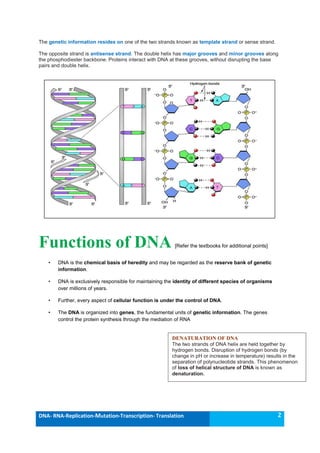 Molecular biology dna, rna, rep, trancr, transl (autosaved) | PDF