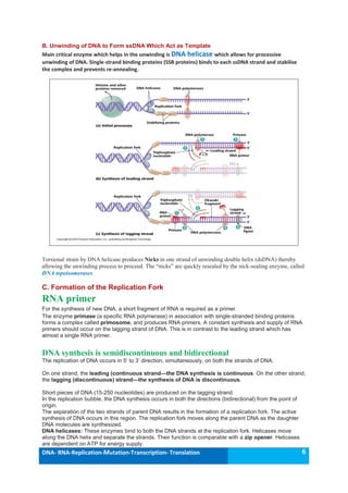 Molecular biology dna, rna, rep, trancr, transl (autosaved) | PDF
