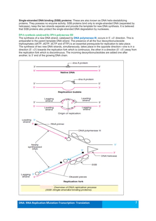 Molecular biology dna, rna, rep, trancr, transl (autosaved) | PDF