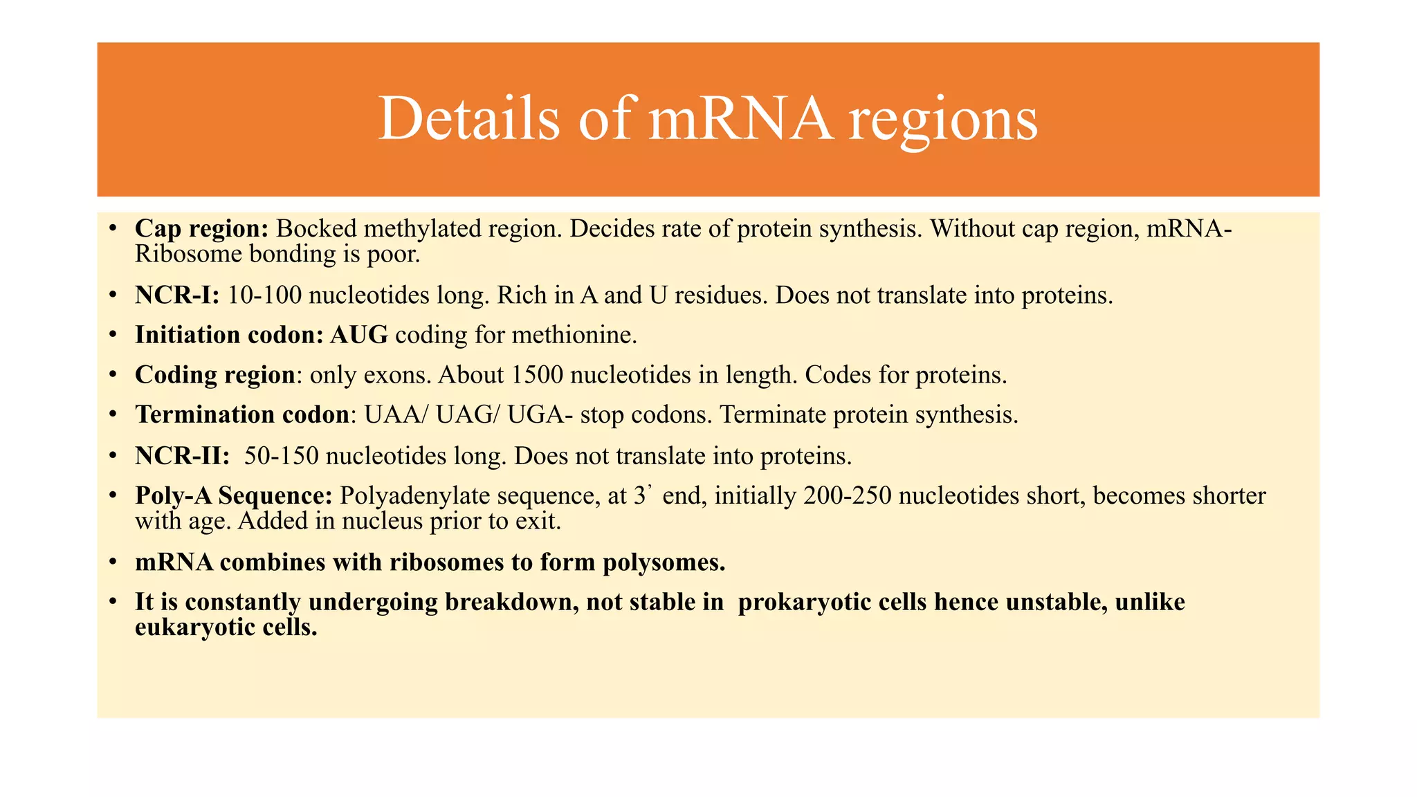 Molecular biology ii- RNA; Types, structure and function | PDF