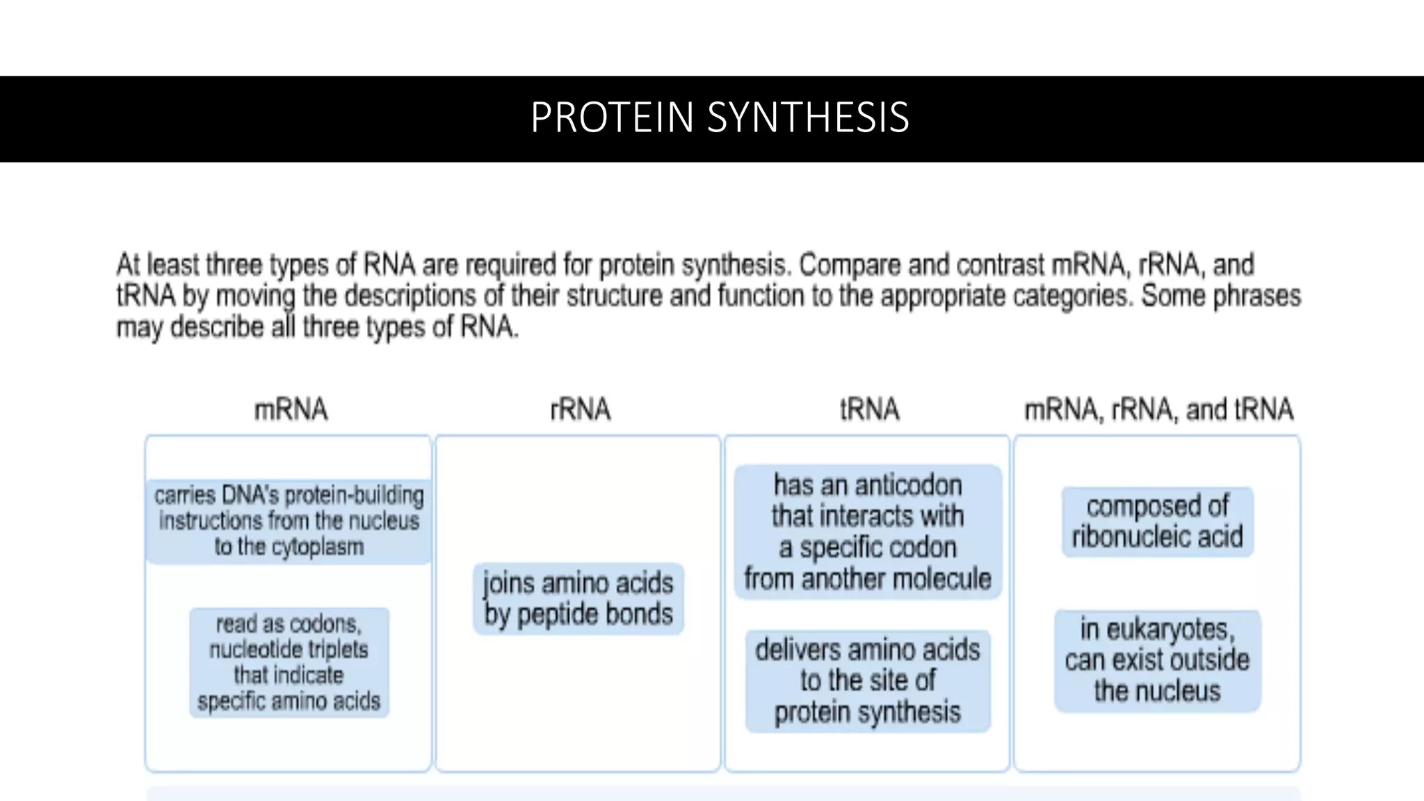Molecular biology ii- RNA; Types, structure and function | PPT