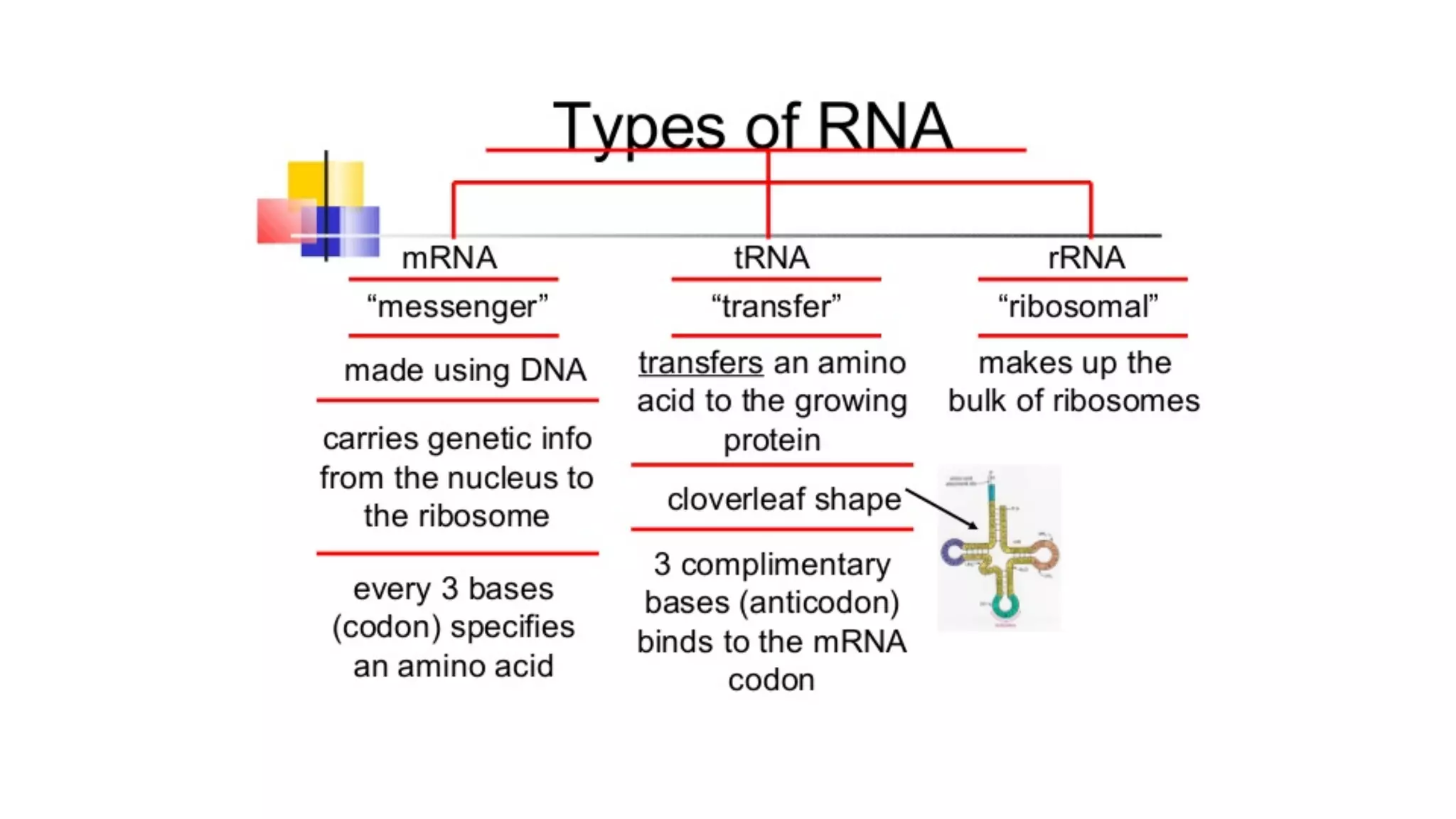 Molecular biology ii- RNA; Types, structure and function | PPT