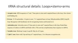 Molecular biology ii- RNA; Types, structure and function | PDF