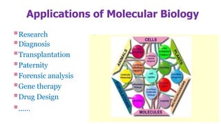 Molecular Biology-Introduction.pptx