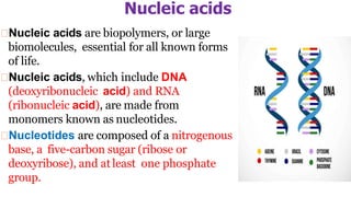 Molecular Biology-Introduction.pptx
