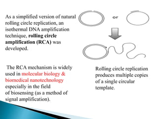 Molecular biology | PPTX