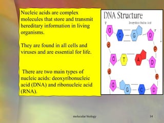 molecular biology1 .pdf