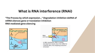 Molecular biology RNA interference mechanism application.pdf