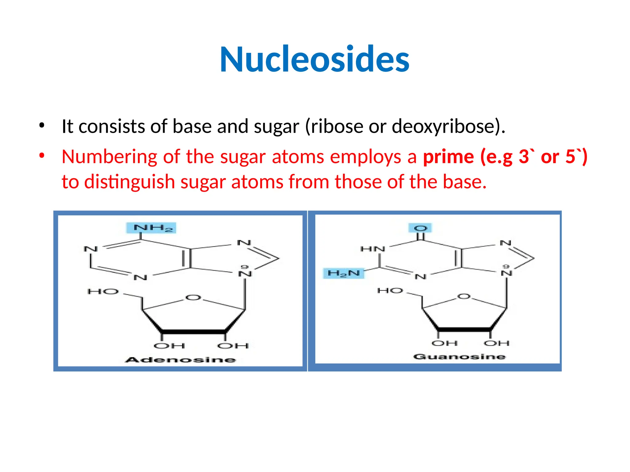 molecular biology lecture notes collection.pptx