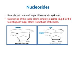 molecular biology lecture notes collection.pptx