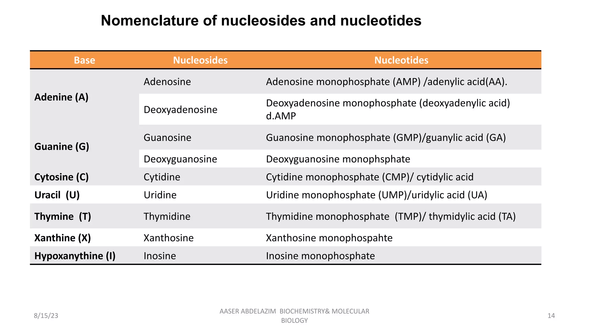 Molecular Biology | PDF