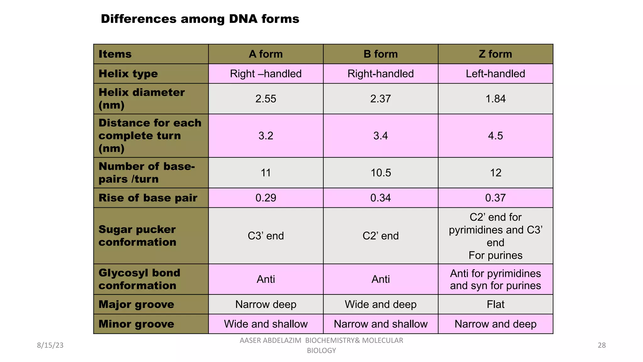 Molecular Biology | PDF