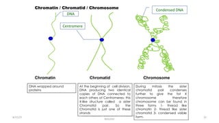 Molecular Biology | PDF
