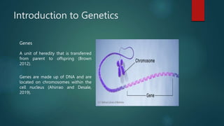 MOLECULAR BIOLOGY AND GEONOMICS-presentation.pptx