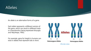 MOLECULAR BIOLOGY AND GEONOMICS-presentation.pptx