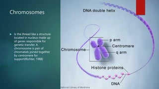 MOLECULAR BIOLOGY AND GEONOMICS-presentation.pptx