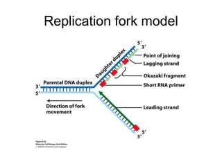 Molecular biology and its application in food biotechnology | PPTX