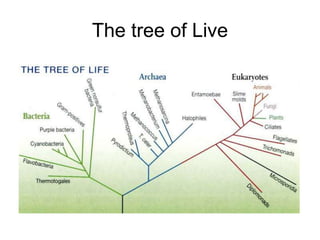 Molecular biology and its application in food biotechnology | PPTX