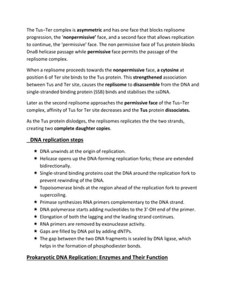 molecular biology- Replication in Prokaryotes | PDF