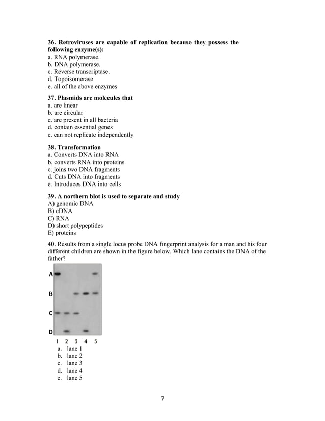 Molecular biology final copy | DOC | Biological Sciences | Science
