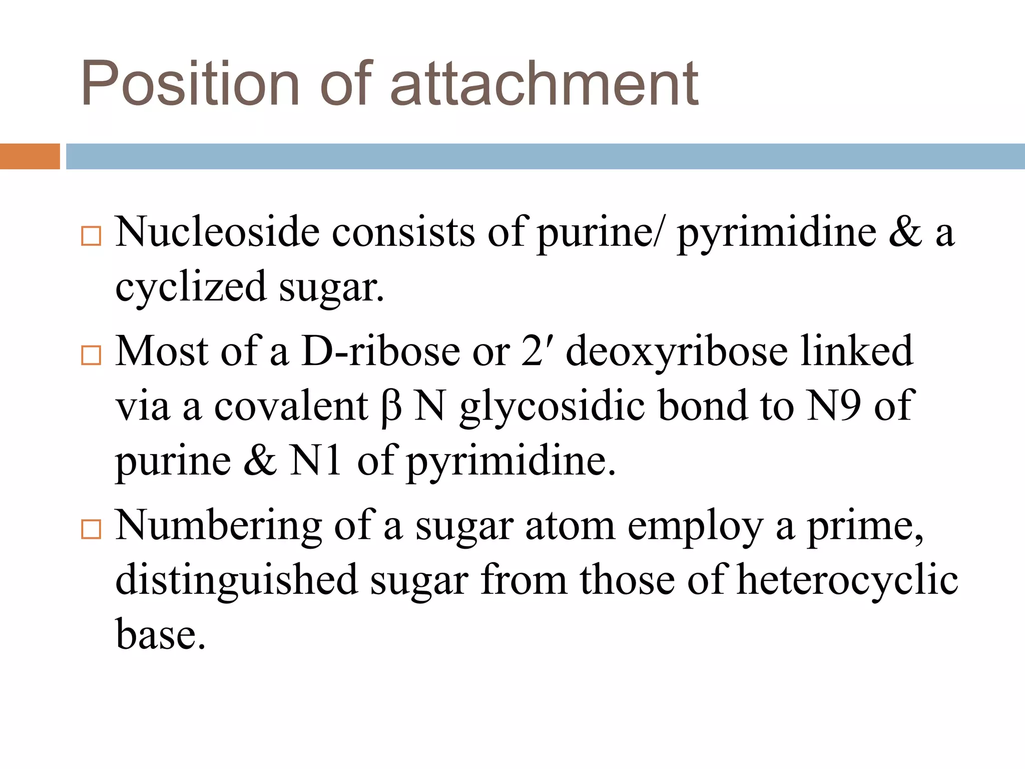 Molecular biology and genetics | PPTX