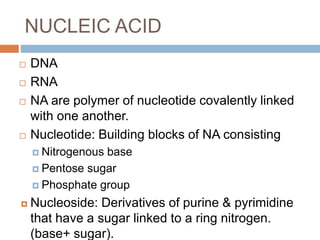 Molecular biology and genetics | PPTX