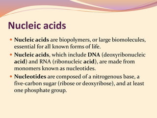 Molecular biology introduction | PPTX