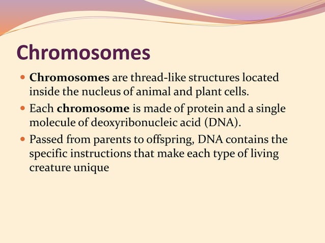 Molecular biology introduction | PPTX