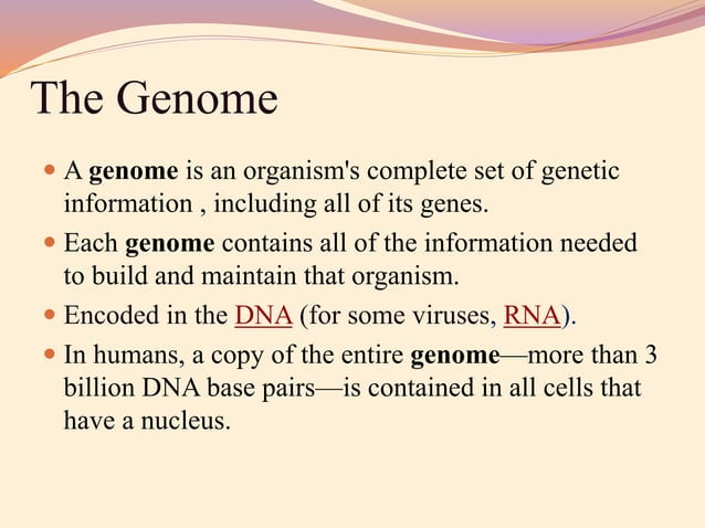 Molecular biology introduction | PPTX