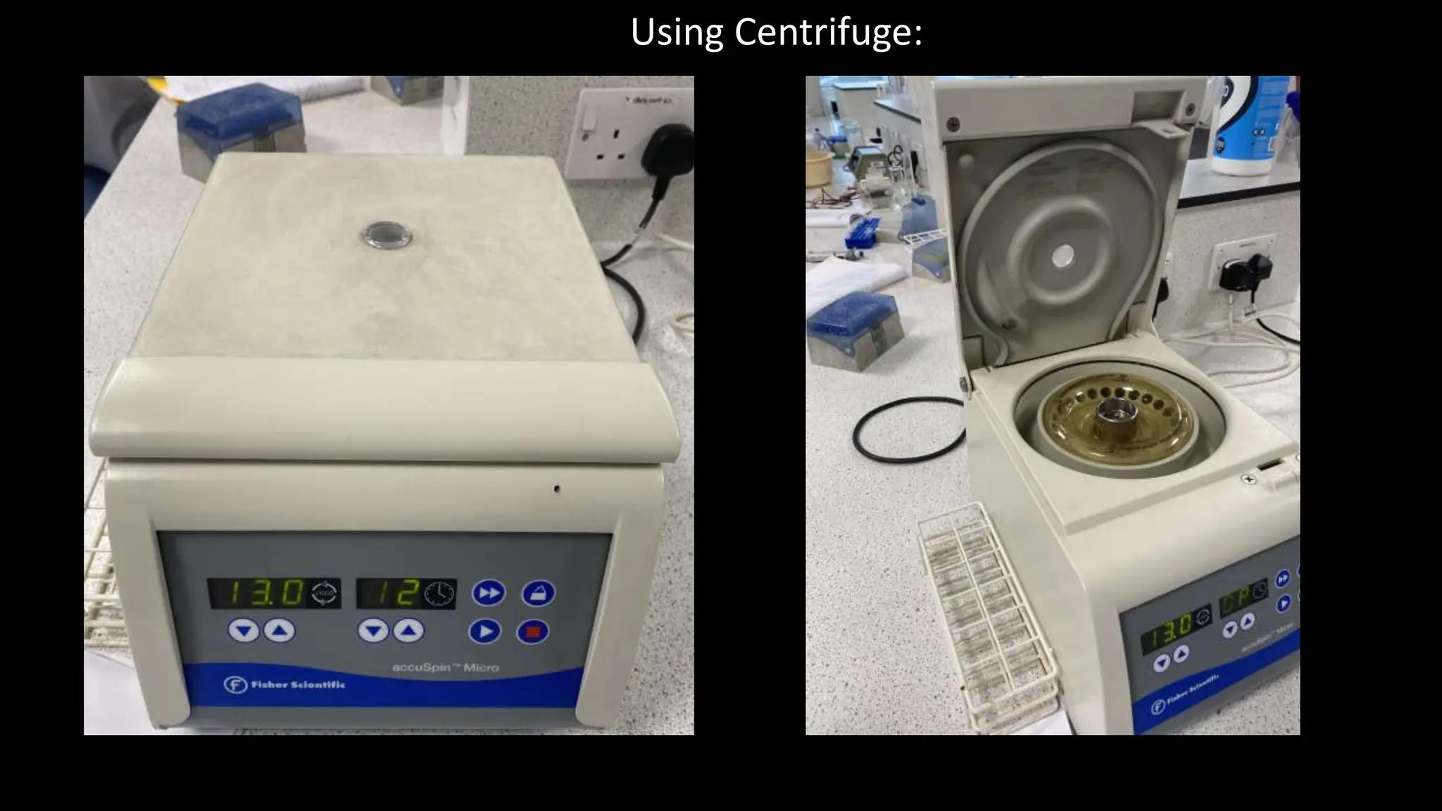 Molecular biology lab.pptx