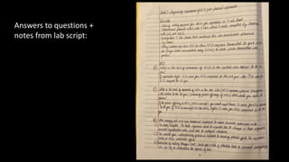 Molecular biology lab.pptx