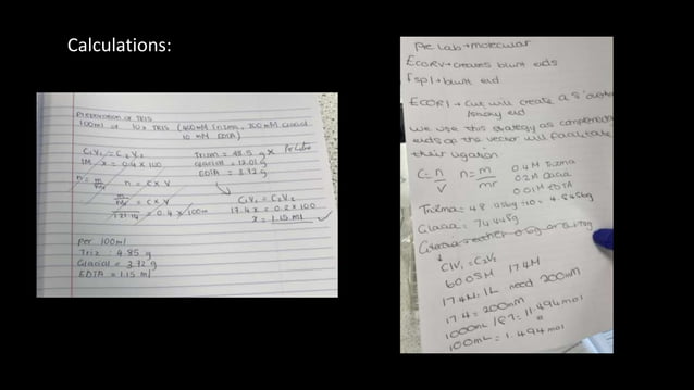 Molecular biology lab.pptx