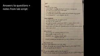 Molecular biology lab.pptx