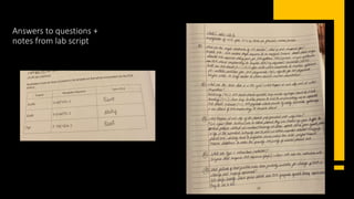 Molecular biology lab.pptx
