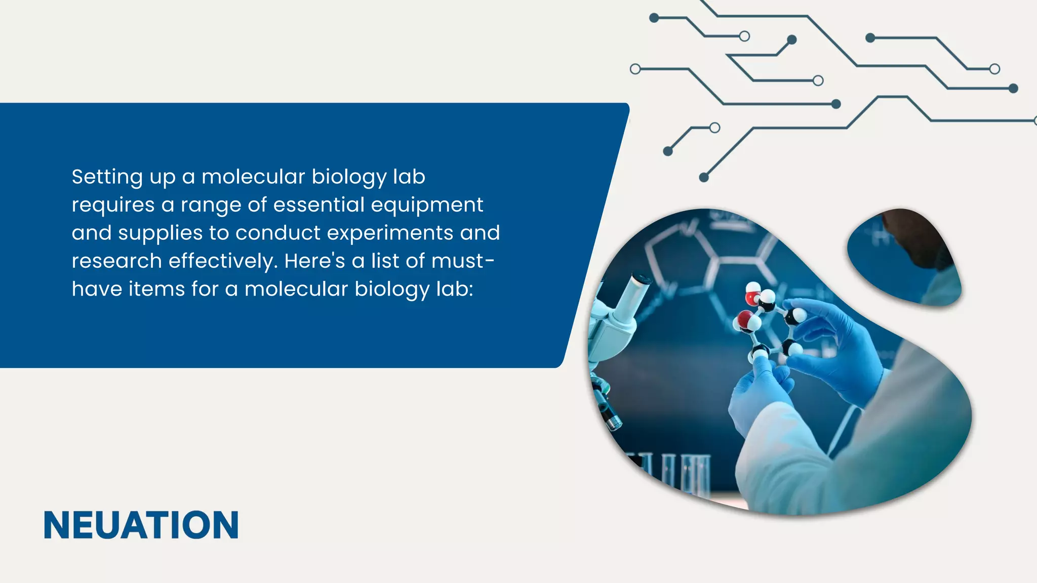 Molecular Biology Lab Essentials What are the must-haves.pptx