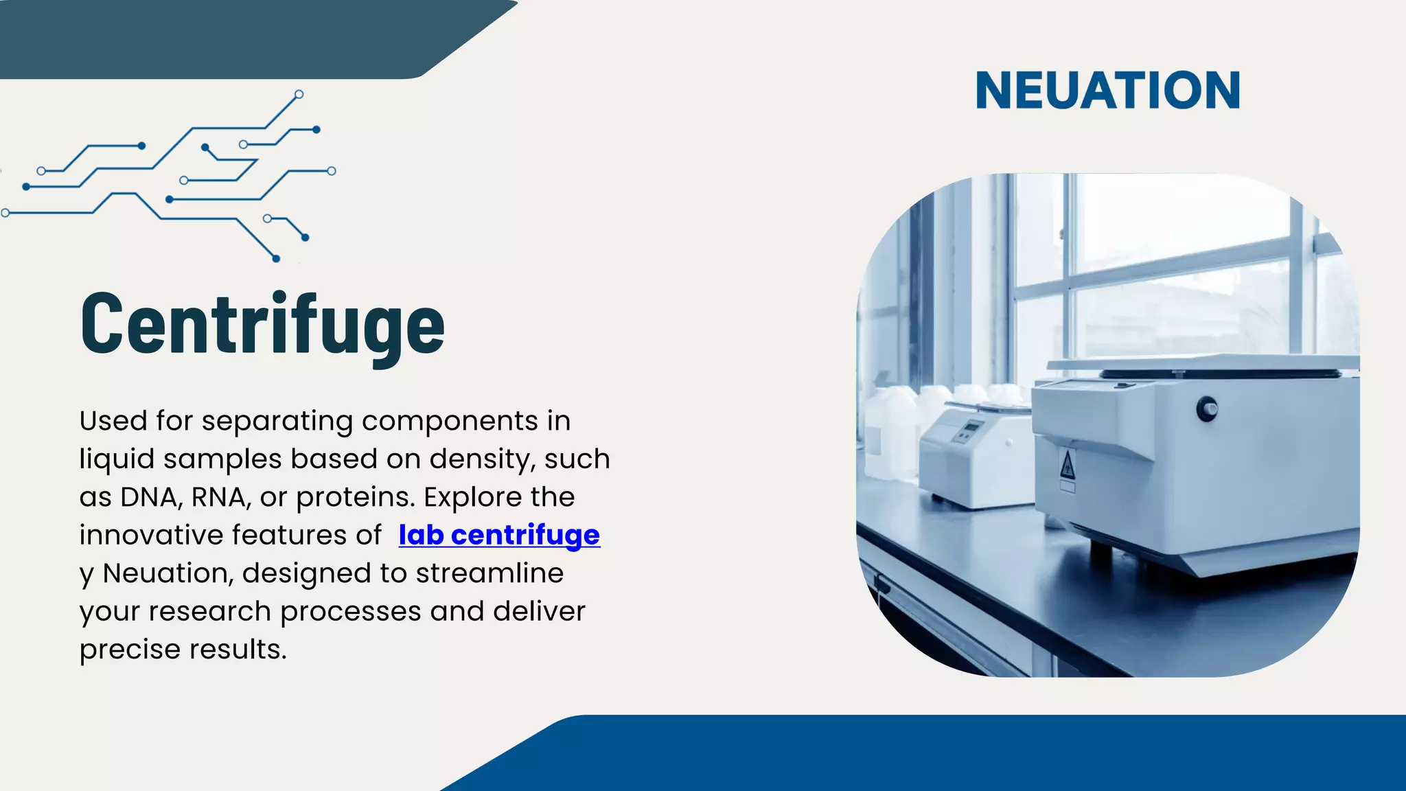 Molecular Biology Lab Essentials What are the must-haves.pptx