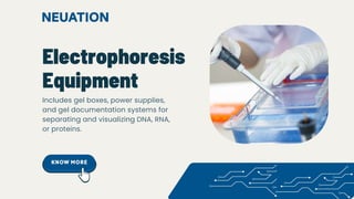 Molecular Biology Lab Essentials What are the must-haves.pptx